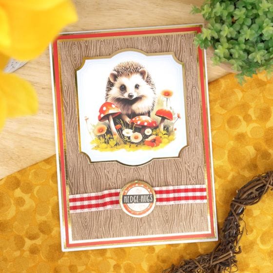 Adorable Animals Adorable Scorable Pattern Pack | Hunkydory Crafts