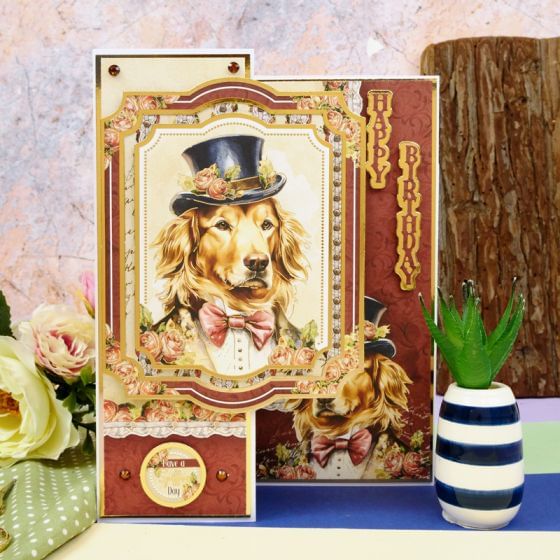 Dapper Dogs & Classy Cats Luxury Topper Collection | Hunkydory Crafts