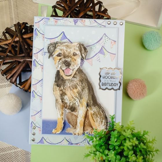 The Little Book of Muddy Paws | Hunkydory Crafts