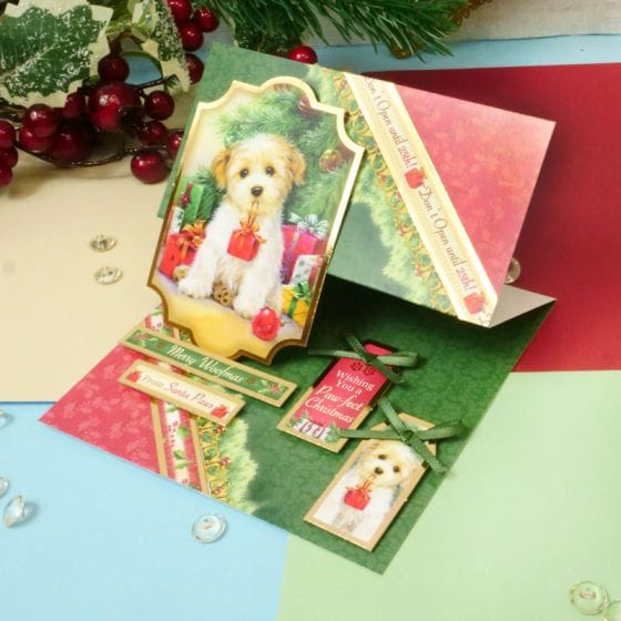 Quick Cards - Santa Paws | Hunkydory Crafts
