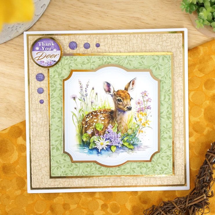 Adorable Animals Adorable Scorable Pattern Pack | Hunkydory Crafts