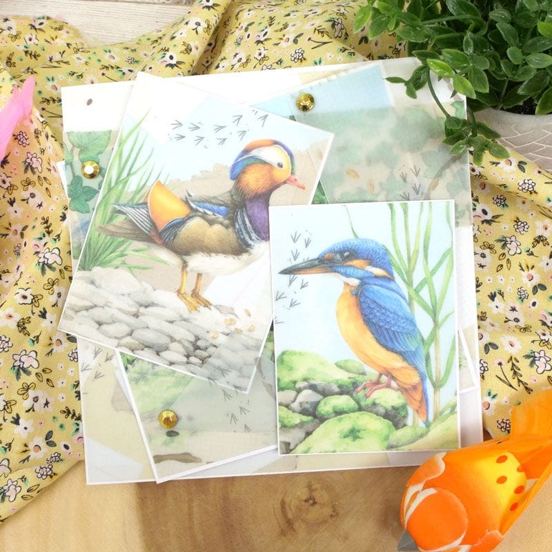 Botanical Birds Printed Parchment | Hunkydory Crafts
