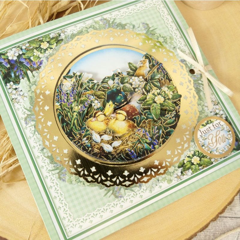 Delightful Birds Decoupage Card Kit | Hunkydory Crafts