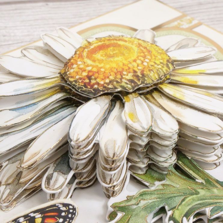 In Full Bloom Deco-Large Set - Sweet Like Daisies | Hunkydory Crafts