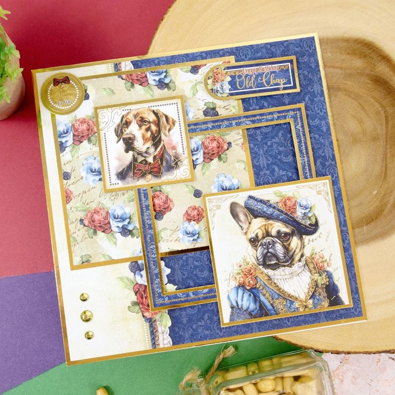 Dapper Dogs & Classy Cats Ultimate Collection | Hunkydory Crafts