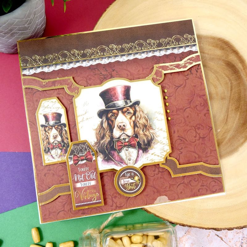 Dapper Dogs & Classy Cats Luxury Topper Collection | Hunkydory Crafts