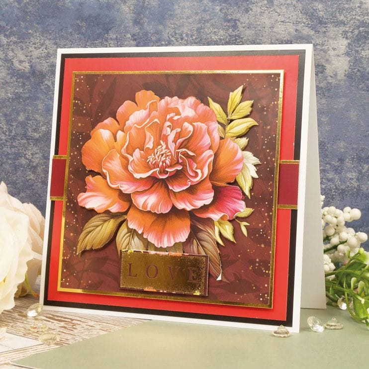 Eternal Blooms Adorable Scorable Selection | Hunkydory Crafts