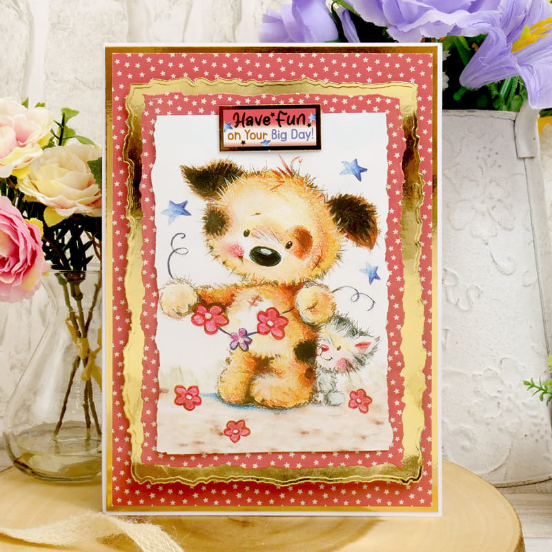 Furry Friends Club Gift Gallery | Hunkydory Crafts