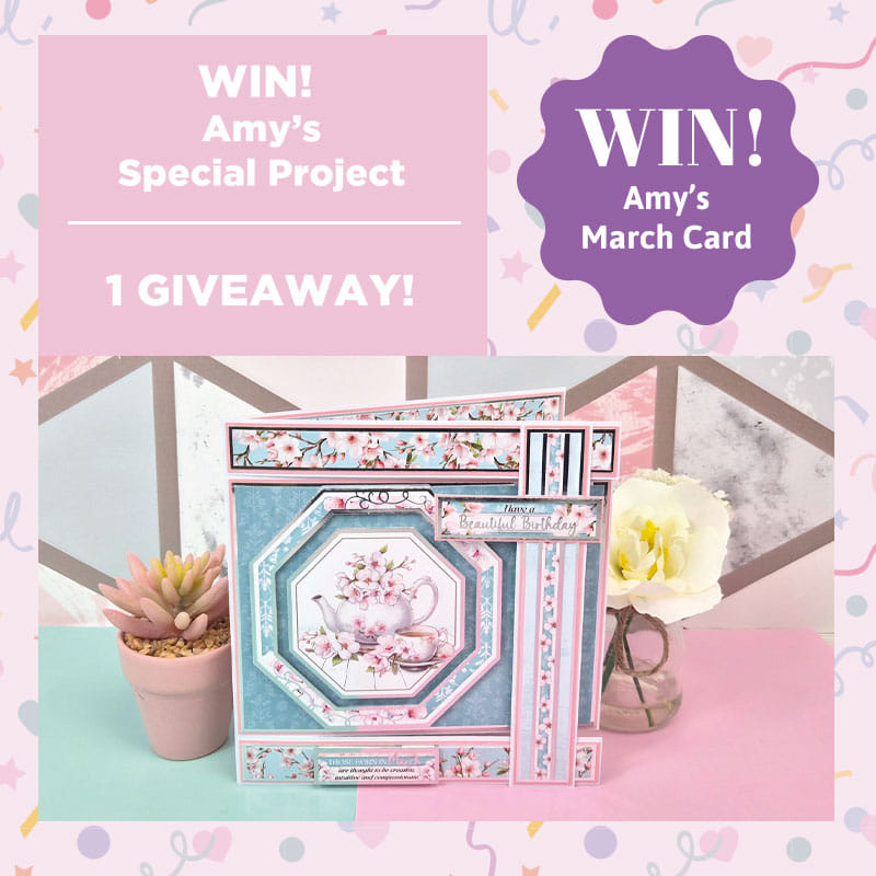 WIN Amy's Special Project | Hunkydory Crafts