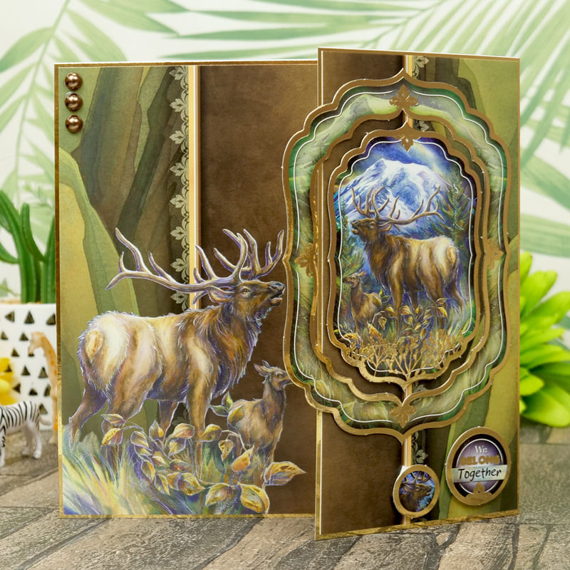 Deluxe Craft Pads Gallery | Hunkydory Crafts