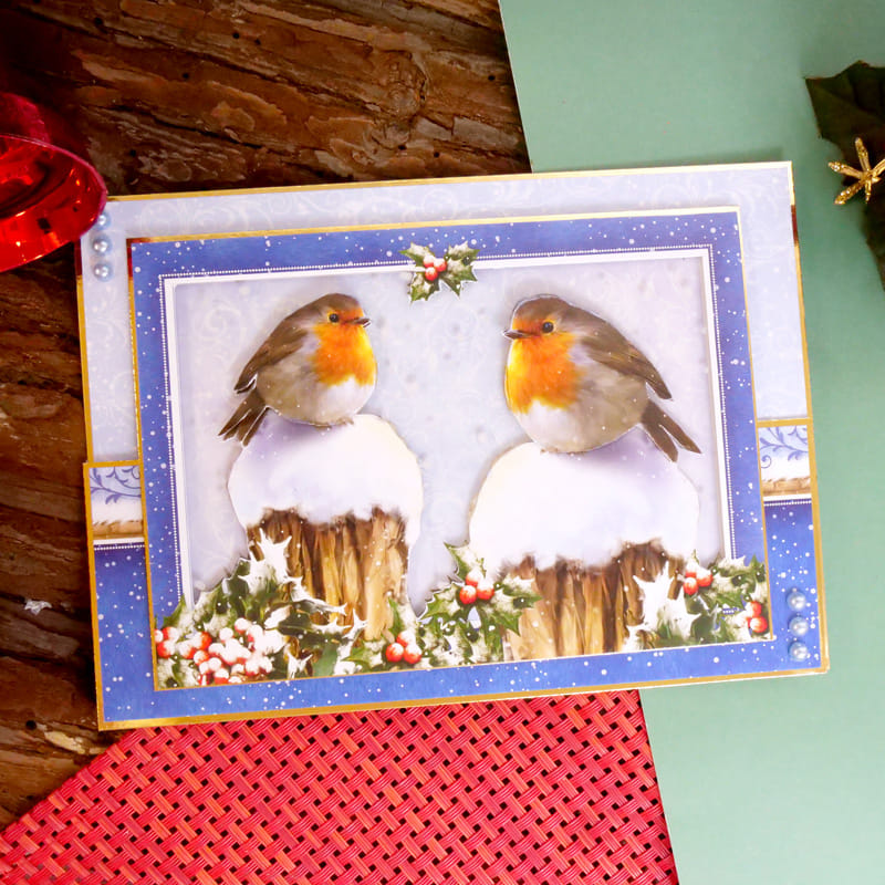 Winter Robins Gallery | Hunkydory Crafts