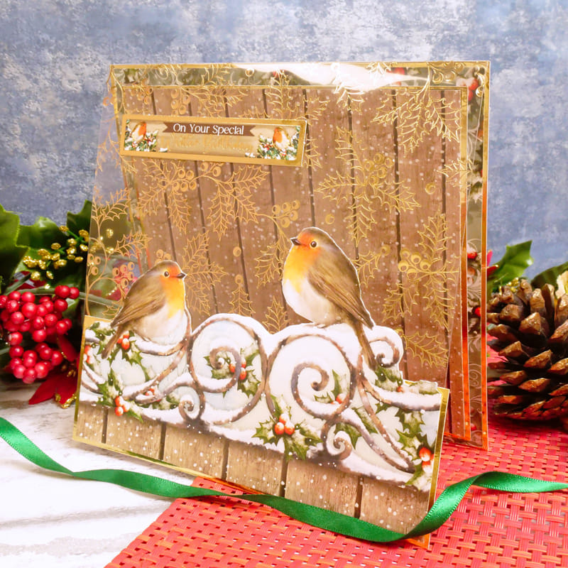 Winter Robins Gallery | Hunkydory Crafts