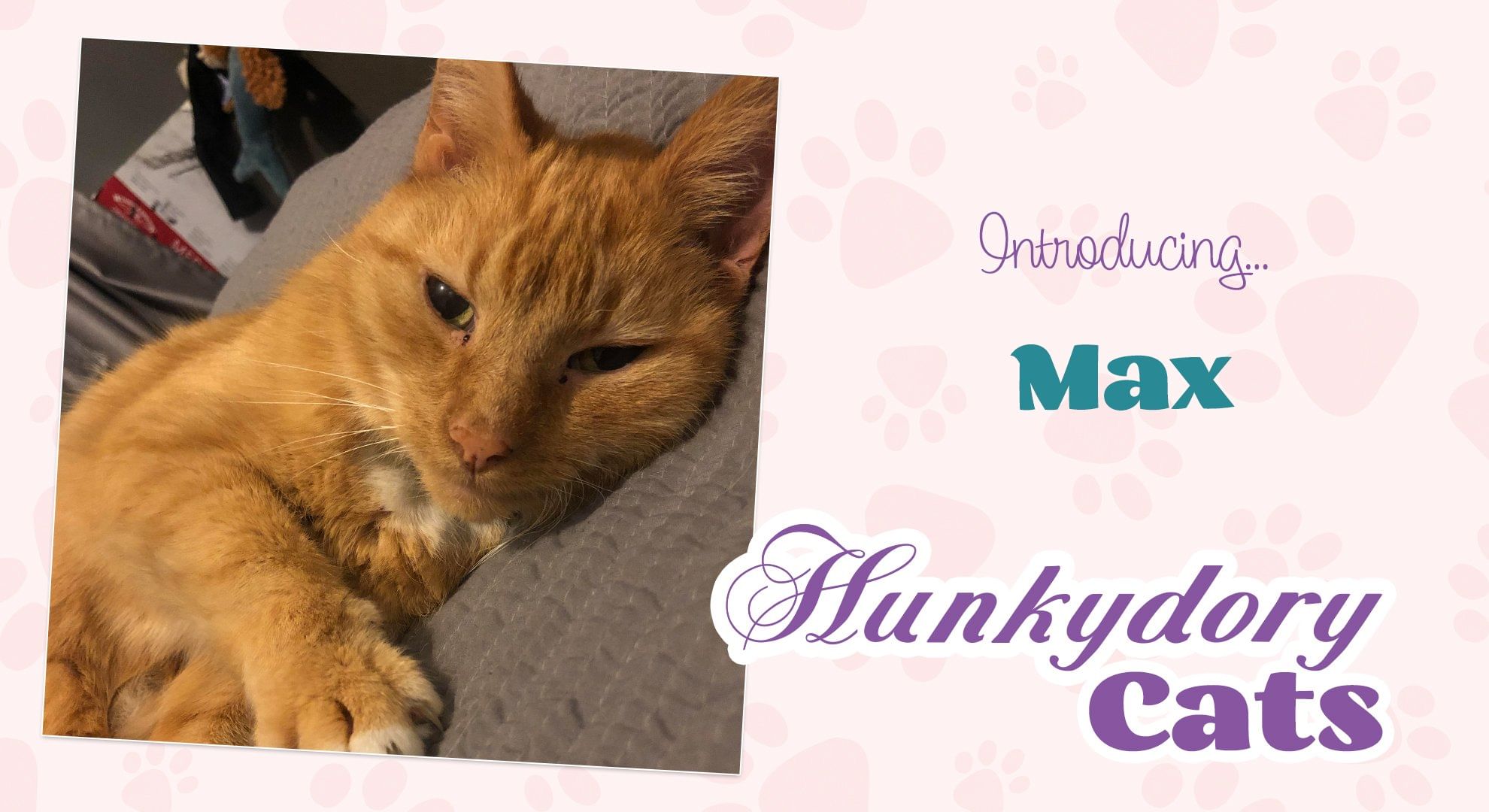 Hunkydory Cats | Hunkydory Crafts