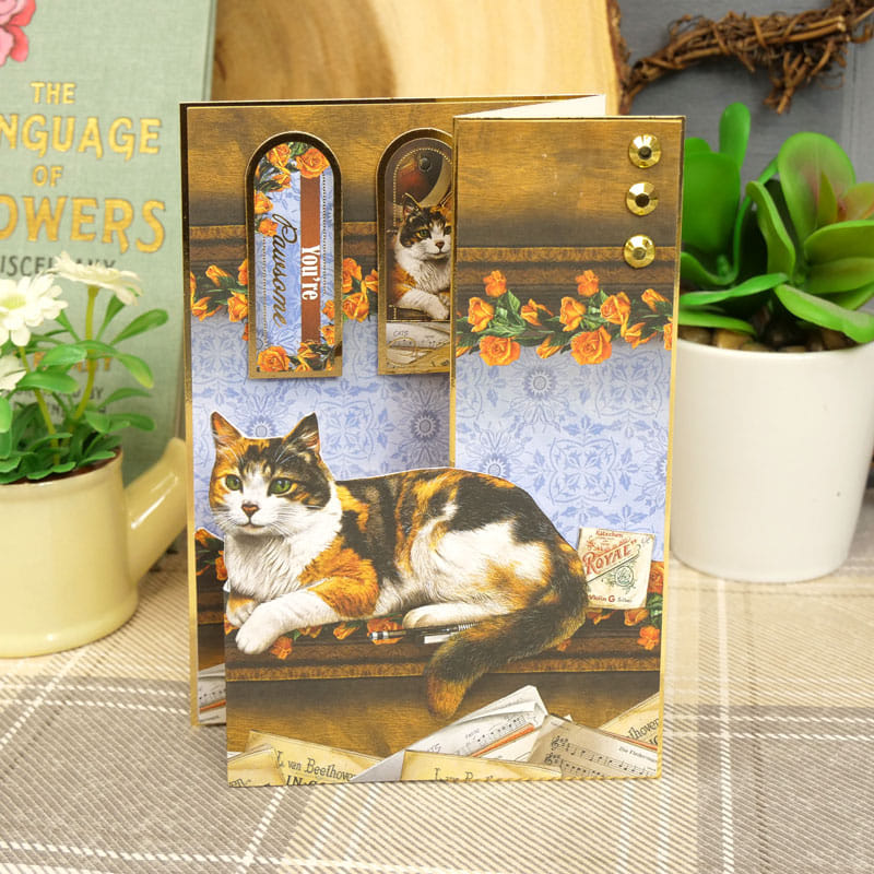 Live Launch - Purr-fect Days | Hunkydory Crafts