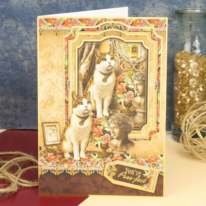 Live Launch - Purr-fect Days | Hunkydory Crafts