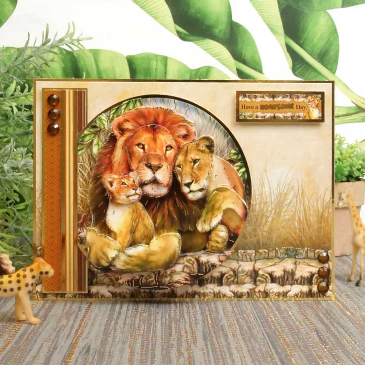 Into the Wild Deco-Large Gallery | Hunkydory Crafts