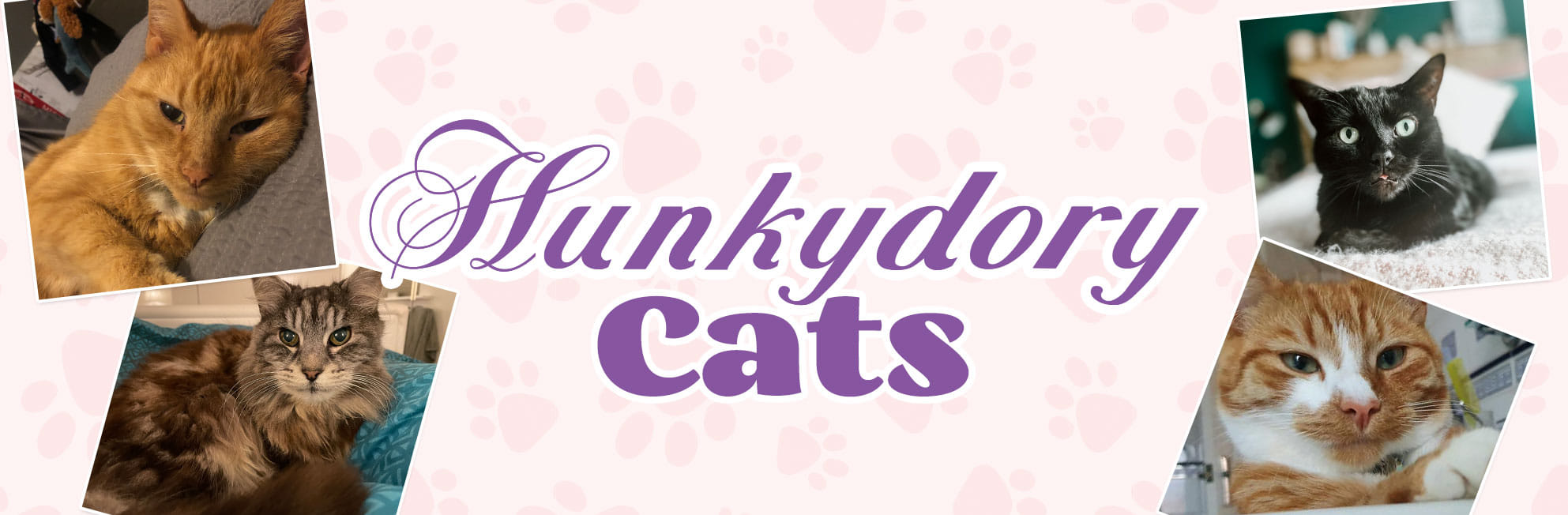 Hunkydory Cats | Hunkydory Crafts